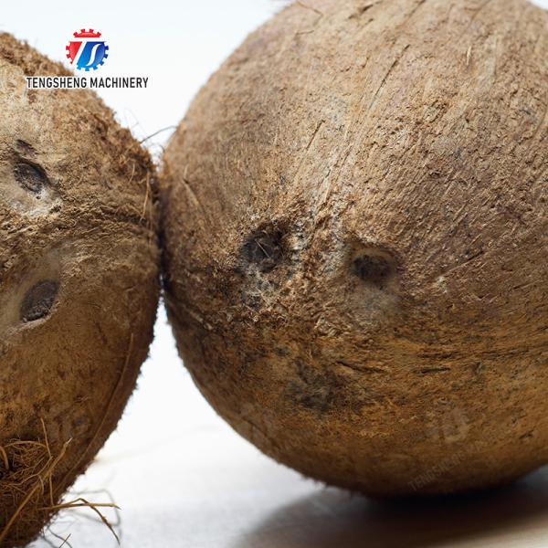 Quality Coconut Sheller coconut milk processing production Supplying Machine for sale