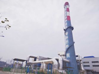 China Factory - Hefei Purple Horn E-Commerce Co., Ltd.