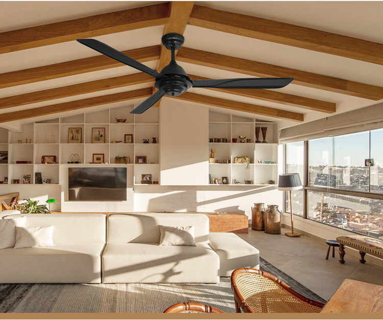 ceiling fan
