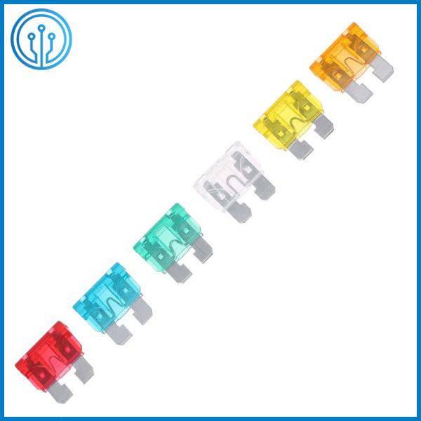 Quality 19x19mm 50a Car Fuse Auto Blade Fuses for sale