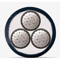 Quality 1-5 Core XLPE Insulated Power Cable for Medium Voltage Steel Wire Armoured for sale