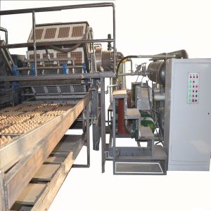 Quality 3000pcs/h Recycled Paper Egg Box Making Machine Rotary Type High Speed for sale