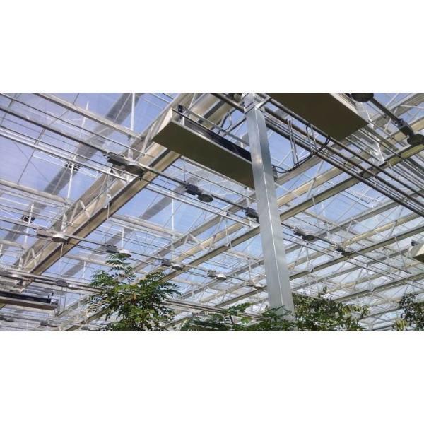 Quality High Strength Agricultural Poly Tunnel Green House/Tomato Greenhouse for sale