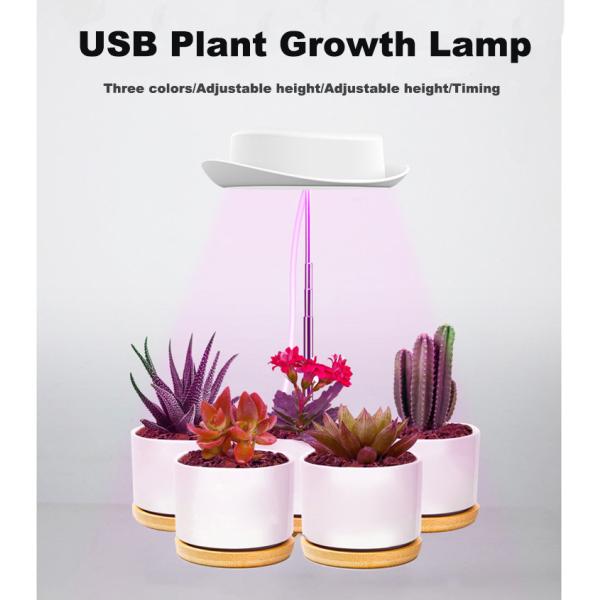 Quality 5V Dimmable 3 Hours LED Growth Lamp CE Red Led Grow Light for sale