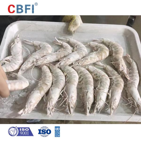 Quality Tunnel Fast Freezing Machine Individual Industrial IQF Shock Blast Freezer for sale