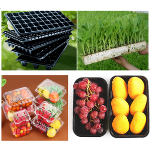 Quality Customized Design Recyclable PET Plastic Blister Packaging with Heat Sealing for for sale