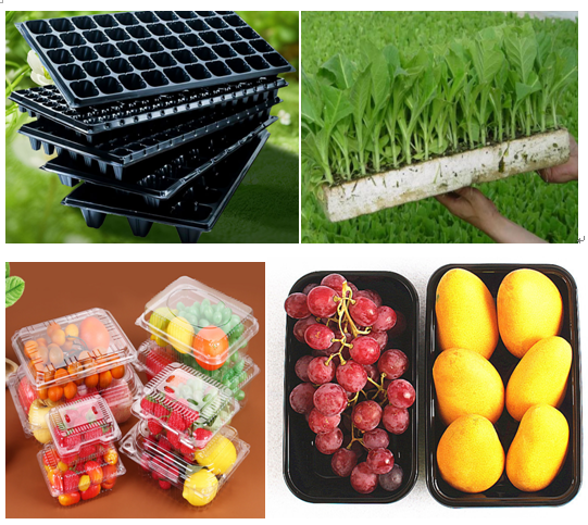 Quality Customized Design Recyclable PET Plastic Blister Packaging with Heat Sealing for Fresh Produce for sale