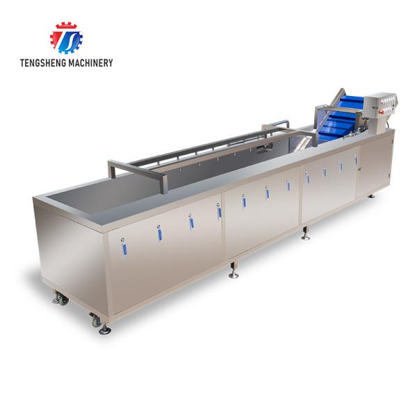Quality 2000KG/H Fruit And Vegetable Washing Machine Bubble Washing Equipment for sale