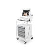 Ultrasonic 5 Cartridges 15 Inch Face Lift Skin Tighten HIFU Machine china Ultrasonic 5 Cartridges 15 Inch Face Lift Skin Tighten HIFU Machine