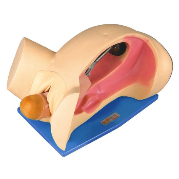 Quality Manual childbirth simulation automatic birthing system / Emergency Simulation for sale