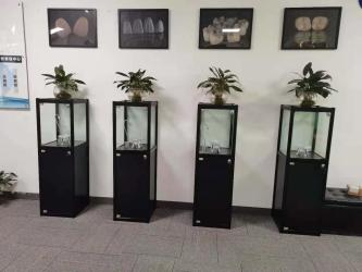 China Factory - Shenzhen Wecera Dental Technology Co.;Ltd.