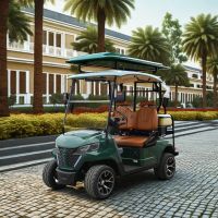 Quality Front Disc Rear Drum Brake System Electric Golf Cart for Wedding Resort Hotel HM for sale