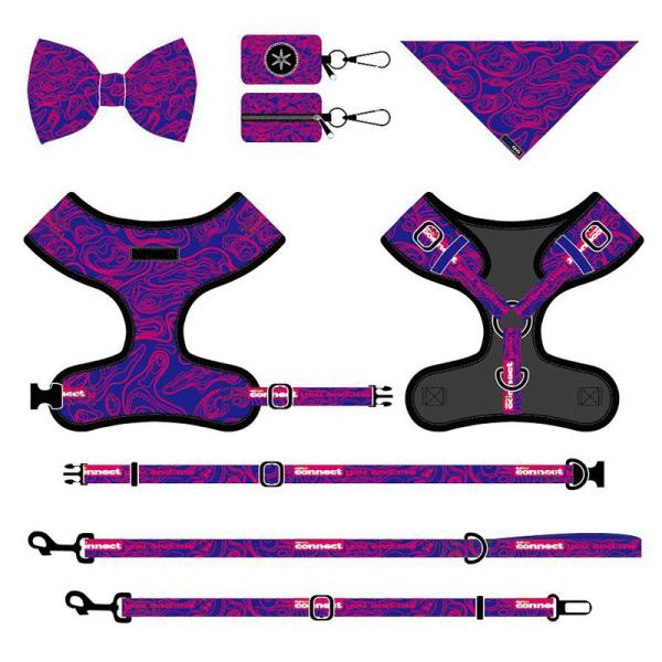 Quality Nylon Dog Collars And Leashes Harness Collar And Lead Set Polyester Nylon for sale