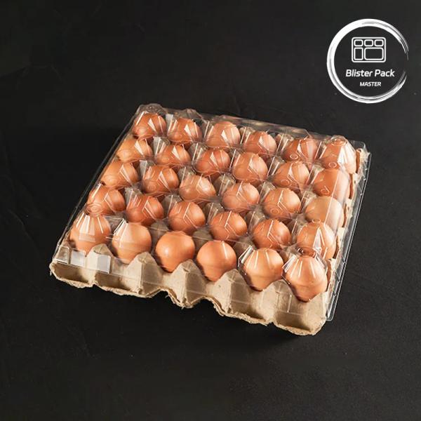 Quality PET Plastic Egg Tray Packaging 30 Hole Cartons In S/M/L Sizes With Paper Bottom for sale