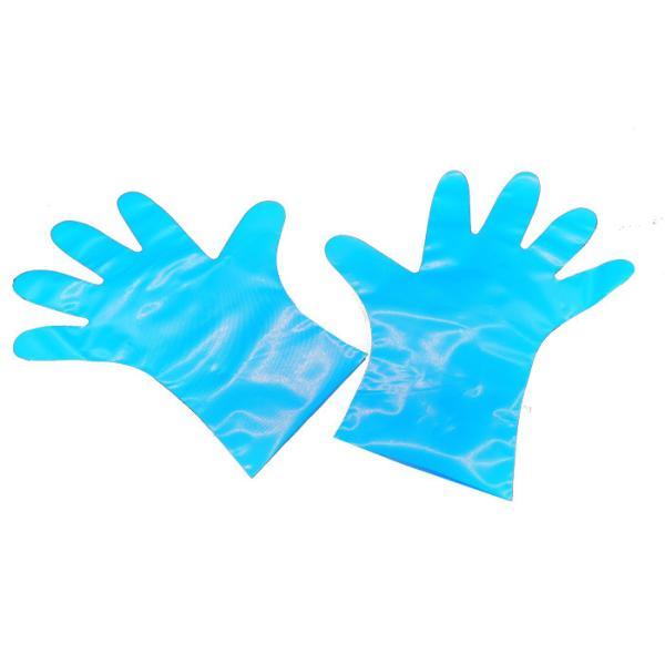 Quality AS4736 Certified Compostable Food Gloves 50 Micron CPE Disposable Gloves for sale