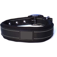 Quality Lightweight Soft Nylon Dog Collar , Comfortable Heavy Duty Dog Collars Heavy for sale
