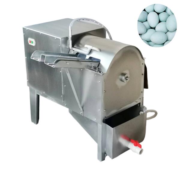 Quality Steel Type Chicken Cleaner Washing Machine Duck Egg Brush Washer for sale