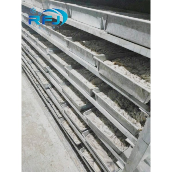 Quality Fresh Keeping Cold Room Freezer Cold Storage For Fruit / Vegetable Warehouse for sale