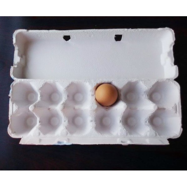 Quality Semi Automatic Small Paper Pulp Molding Egg Tray Machine Egg Carton Machine PLC for sale