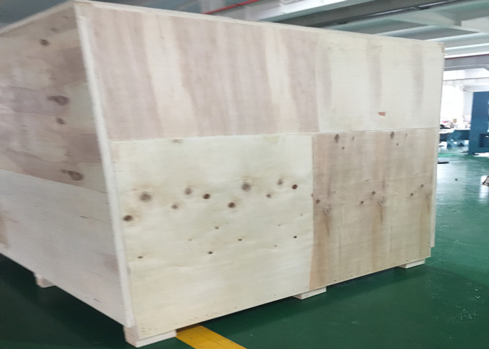 Dustproof 20kg PE Bag Granule Packing Machine for Food Industry
