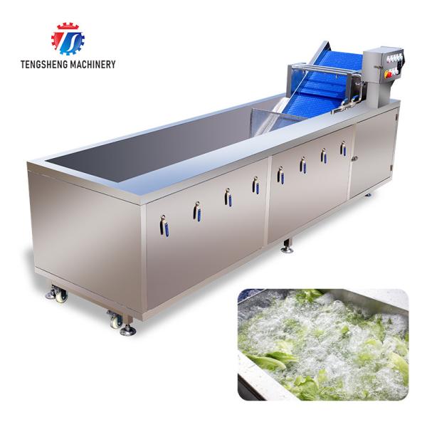 Quality 240KG Coriander Dandelions Vegetable Washing Line , ozone generator Fruit And for sale
