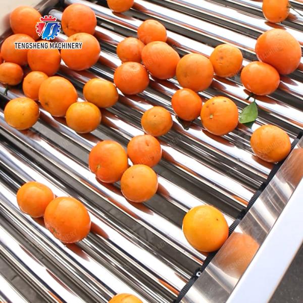 Quality Fruit Orange Vegetable Saiko persimmon lemon tangerine passion fruit avocado for sale