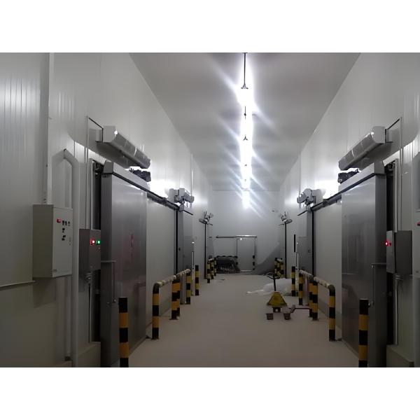 Quality Durable Bitzer Cold Room Freezer With Digital Temperature Controller for sale
