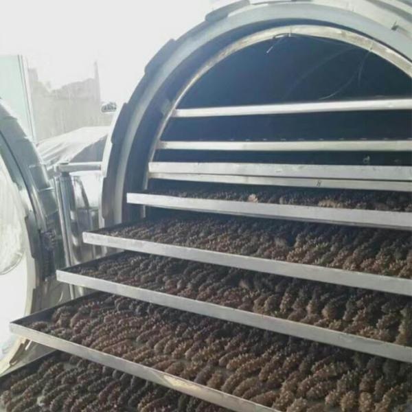 Quality Vacuum Stainless Steel Industrial Freeze Dried Fruit Machine for sale