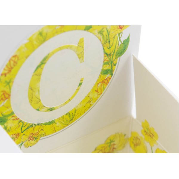 Quality Embossed Cosmetic Box Packaging / Cosmetic Gift Boxes Both Sides Printed for sale