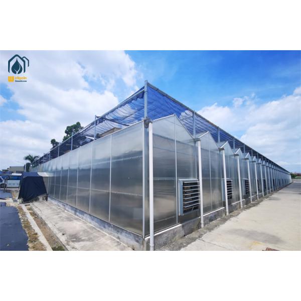 Quality Heavy Duty Polycarbonate Sheet Greenhouse Rust Resistanct Hydroponic Growing System Greenhouse for sale