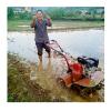 Quality 45-85cm Working Width Gasoline Engine Mini Cultivator Rotary Tiller for Easy for sale