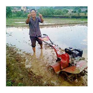 Quality Affordable Diesel Engine Mini Power Tiller for Weeding at Home Optional Features for sale