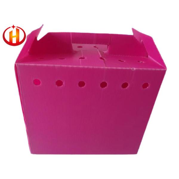 Quality Multifunctional Moistureproof Durable Corrugated Plastic Pet Carrier Stackable for sale