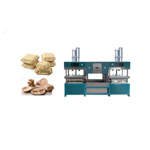 Quality Oil Proof Pulp Molding Machine To Produce Salad Box for sale