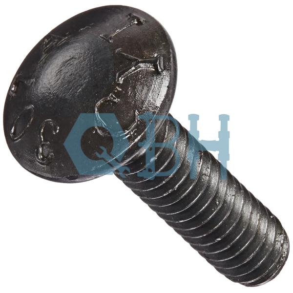 Quality GR2 Bolt Round Head Square Neck for sale