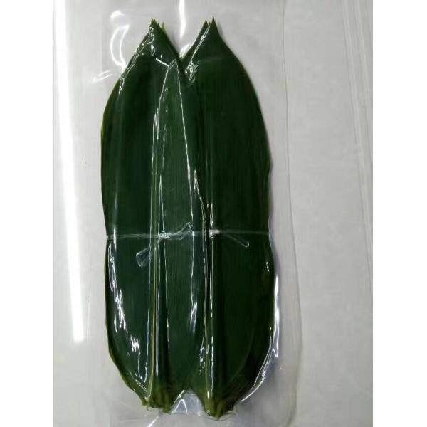 Quality Vacuum Packed 23cm Fresh Bamboo Leaves For Rice Dumplings for sale