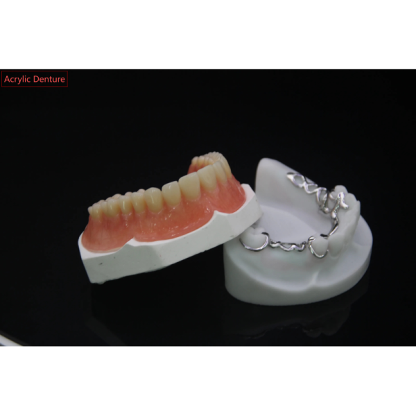 Quality Custom Fit Acrylic Denture with High Quality Acrylic Material and Precision Crafted Natural Appearance for sale