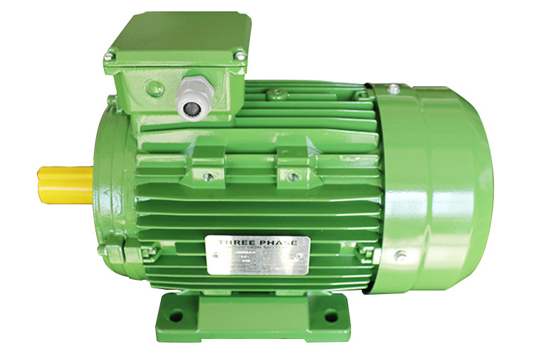 IE MOTOR