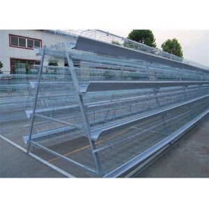Quality Layer Chicken Cage for sale