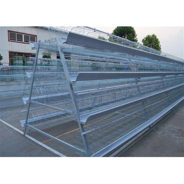 Quality 4 Tier Layer Cage For Layer Farming for sale