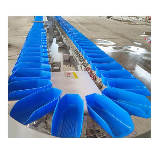 Quality 304 Stainless Steel Dynamic Weight Sorting Machine for Corn Raw Material for sale