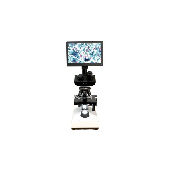 Quality LCD Screen Lab Biological Microscope 10X 40X 6V 20W Monocular Light Microscope for sale