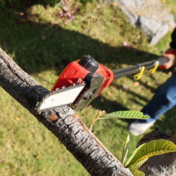 Quality 180-300cm Telescopic Reach Lightweight Battery Pole Saw With Extension for sale