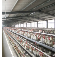 Quality Modern Light Poultry Farm Shed Chicken Coop Design Steel Construction Farm House for sale