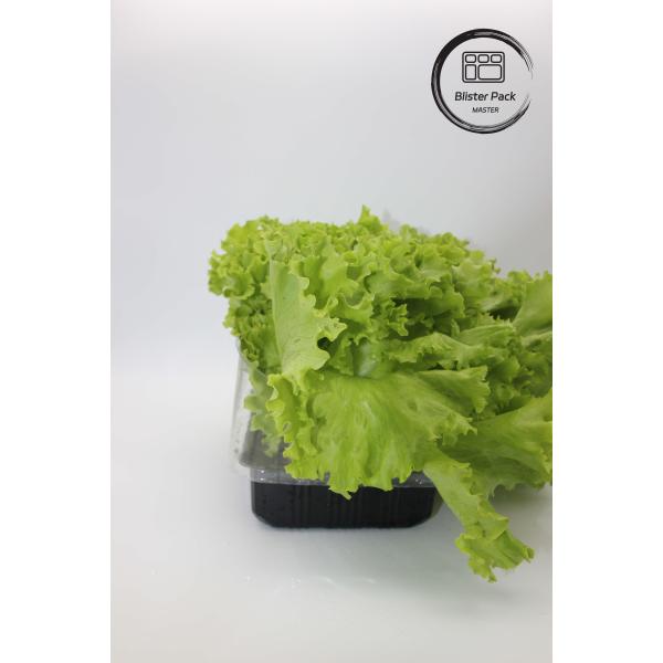 Quality Artificial Garden Vegetables and Fruits Plastic Seedling Trays Perfect for for sale
