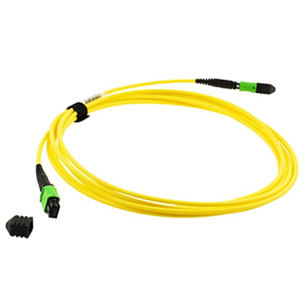 Quality 24 Core Fiber Optic To 24F MPO MTP Patch Cord Fiber Trunk Cable for sale