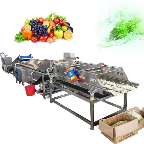 Quality Ginger Sweet Potato Cleaner for Speed Adjustable Vegetable Cleaning and Drying Line for sale