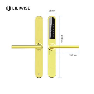 Quality WiFi APP Access Bluetooth Door Lock Thumbprint Door Lock 38mm Width Slim Panel for sale