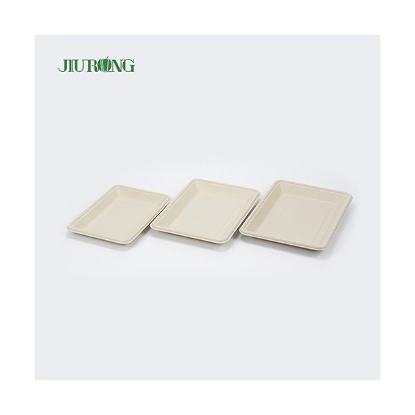 Quality PLA Biodegradable Bagasse Tableware Dish Fast Food Serving Tray for sale