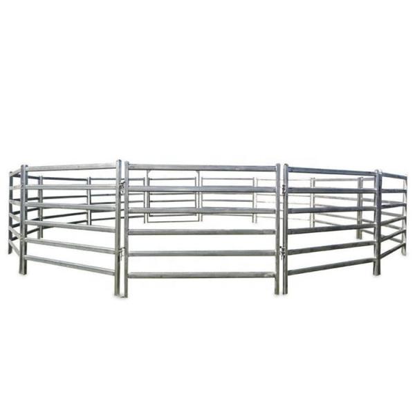 Quality 12 Ft Powder Coated Animal Fencing Hot Diped Galvanized Steel Pipe for sale